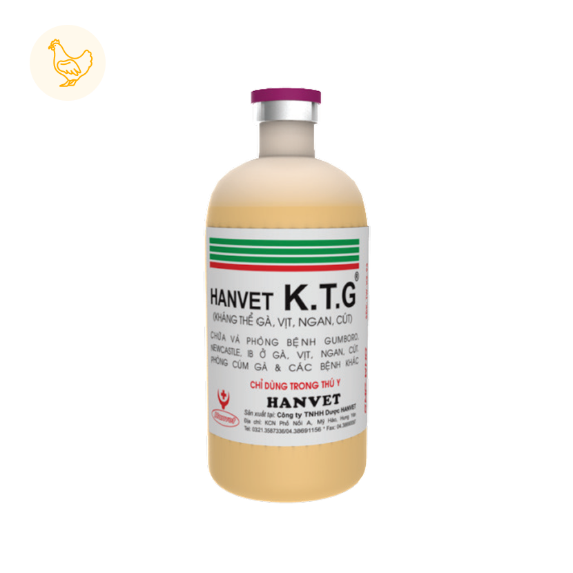 HANVET K.T.G – Antibody for Gumboro & Newcastle in poultry